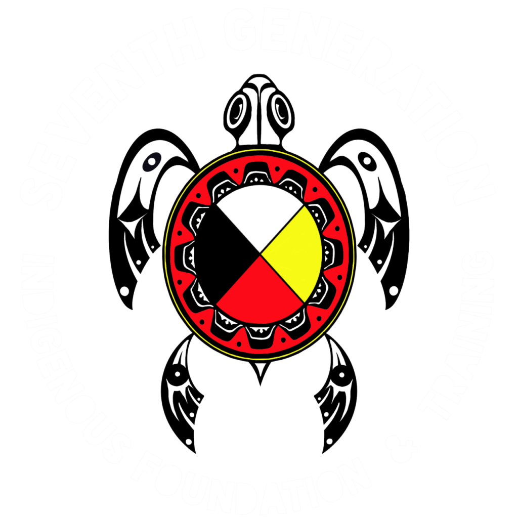 Values and Vision Statement – Seventh Generation Indigenous Foundation ...